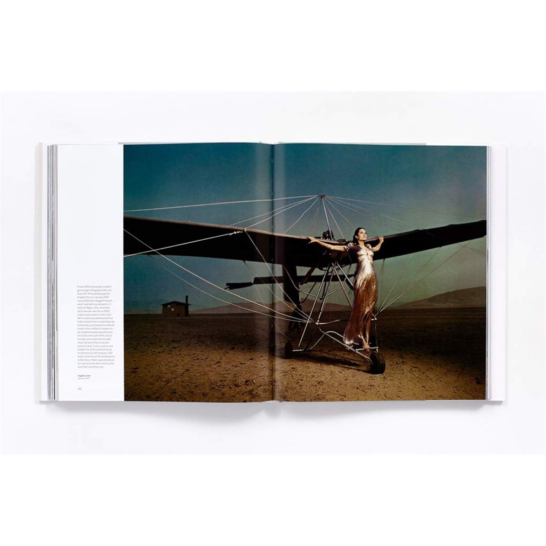 Buy Stoppers Photobook Phyllis Posnick - CPH-Classic